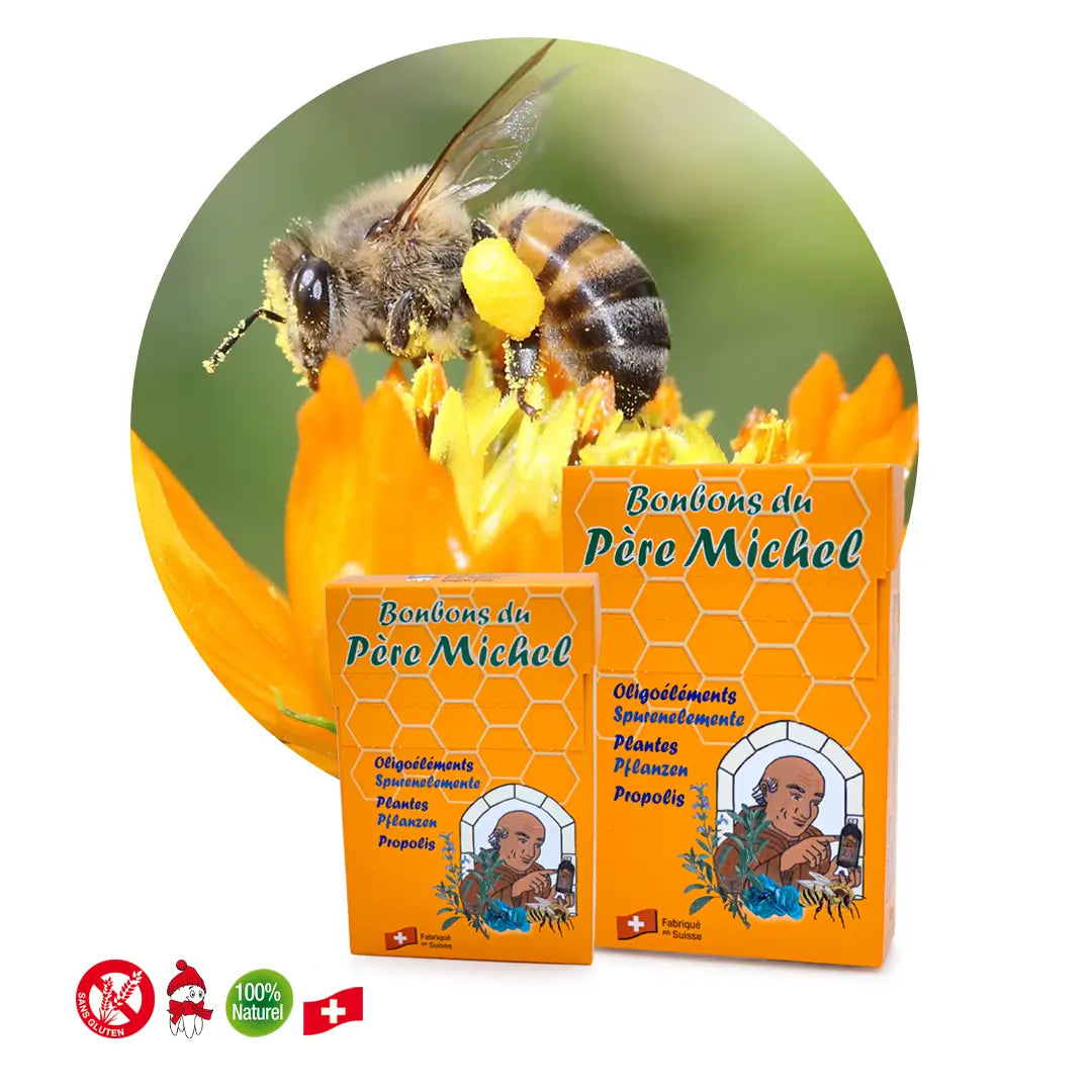 Bonbon du Père Michel Box of 60 – Colleen O'Flaherty